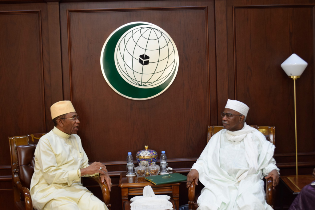 GAMBIA: OIC SECRETARY GENERAL RECEIVES THE PERMANENT REPRESENTATIVE OF ...