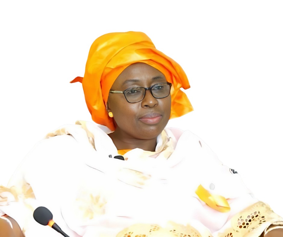 GAMBIA: D46 MILLION RECOVERED UNDER WOMEN ENTERPRISE FUND SAYS MINISTER ...